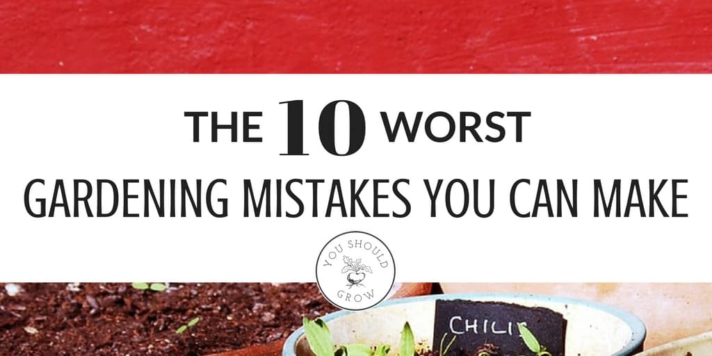 The 10 Worst Gardening Mistakes You Can Make - You Should Grow