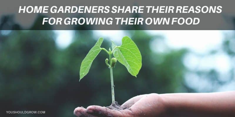 52 Reasons Why You Should Grow Your Own Food - You Should Grow 52 Reasons Why You Should Grow Your Own Food - You Should Grow