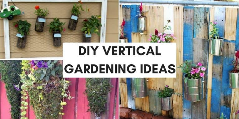 20 Vertical Gardening Ideas: Grow More In Less Space - You Should Grow