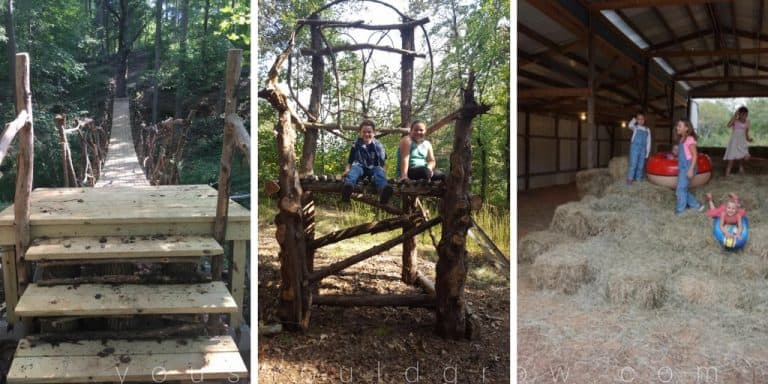 Thinking Of Starting A Corn Maze? Read This First - You Should Grow