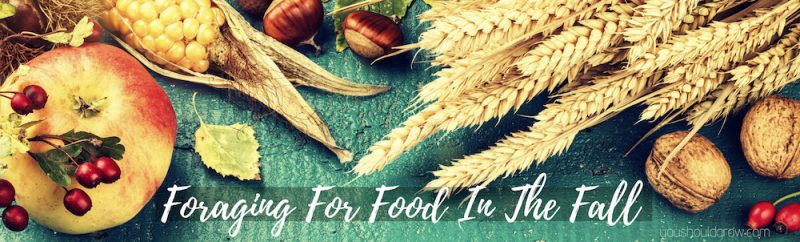 Foraging For Food In The Fall: 7 Wild Edibles You Should Try - You ...