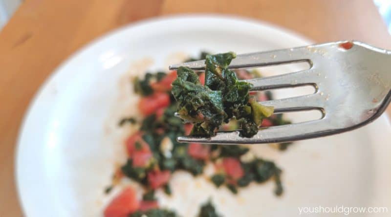 Pumpkin Leaves For Dinner? Yes, Please! - You Should Grow