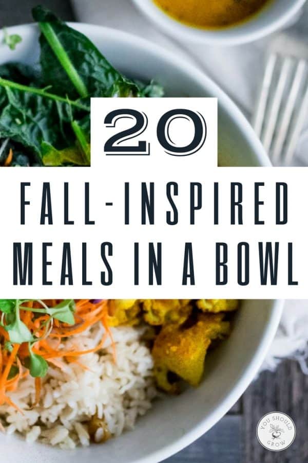 20 Fall-Inspired Meal In A Bowl Recipes - You Should Grow