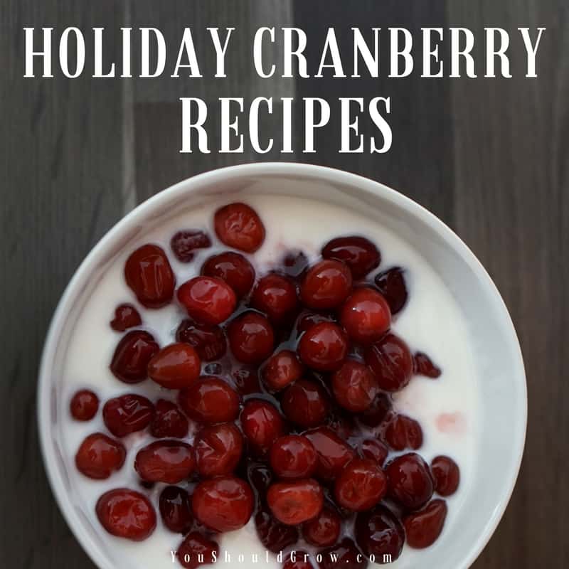Tasty & Tempting Holiday Cranberry Recipes | You Should Grow