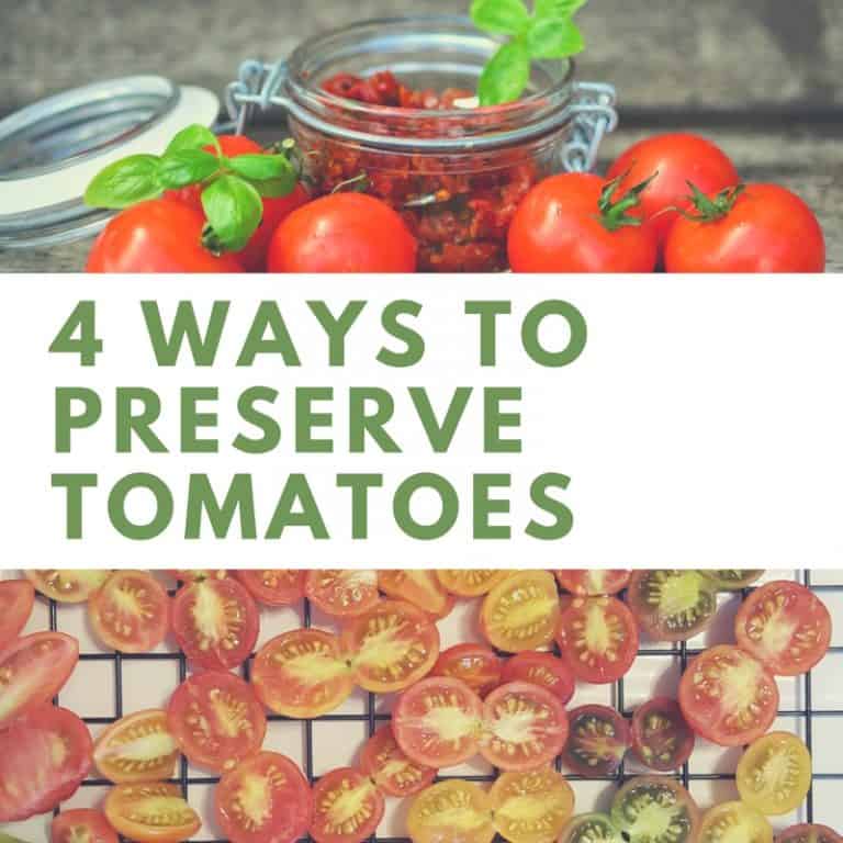 Reasons Your Tomato Plant Flowers But Has No Tomatoes - You Should Grow