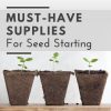 5 Fast Sprouting Seeds To Grow (For Kids + Beginners) - You Should Grow