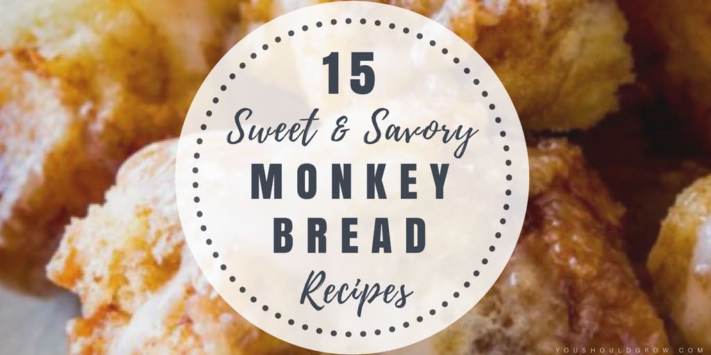 15 Sweet & Savory Monkey Bread Recipes - You Should Grow
