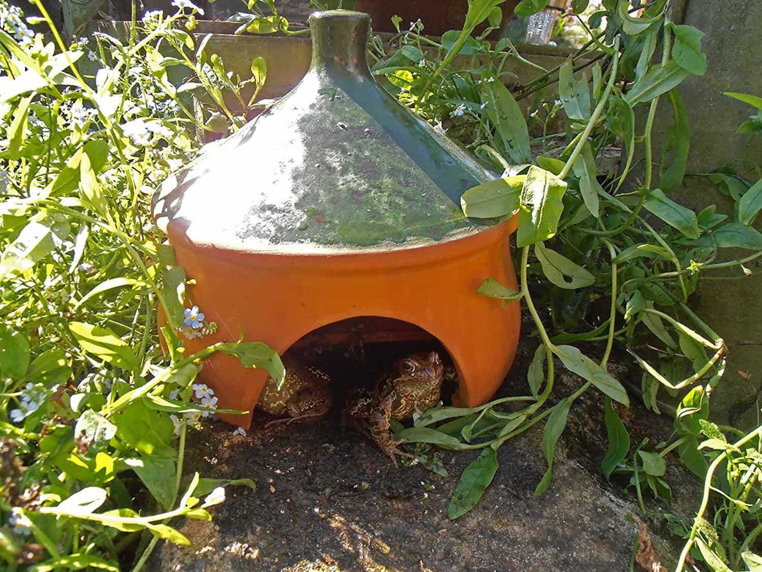 Gift Guide For Gardeners: 16 Unique and Useful Ideas | You Should Grow